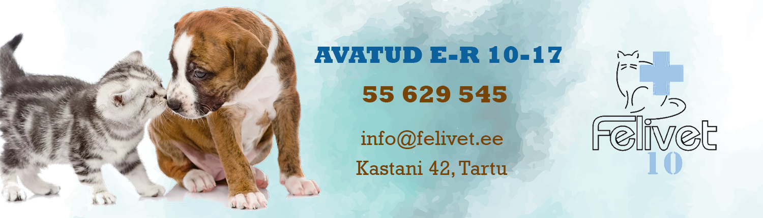 Kontakt | Felivet – Sinu usaldusväärne loomakliinik Tartus